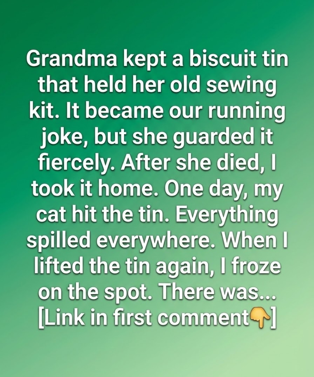 The Biscuit Tin My Grandmother Kept, and the Truth I Learned Much Later ...